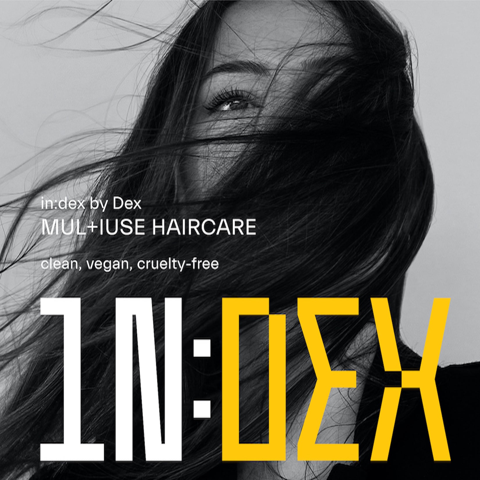 Signature Haircare Created By Stylists Of 20+ Years – Index By Dex